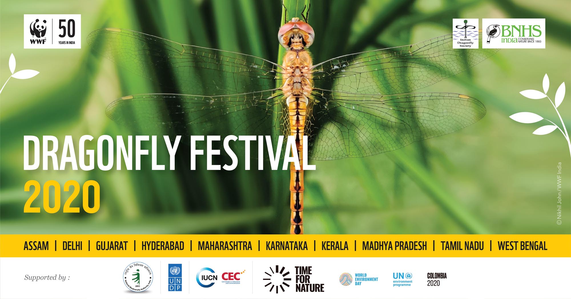 Celebrating the Helicopters of Nature: 3rd Edition of Dragonfly ...