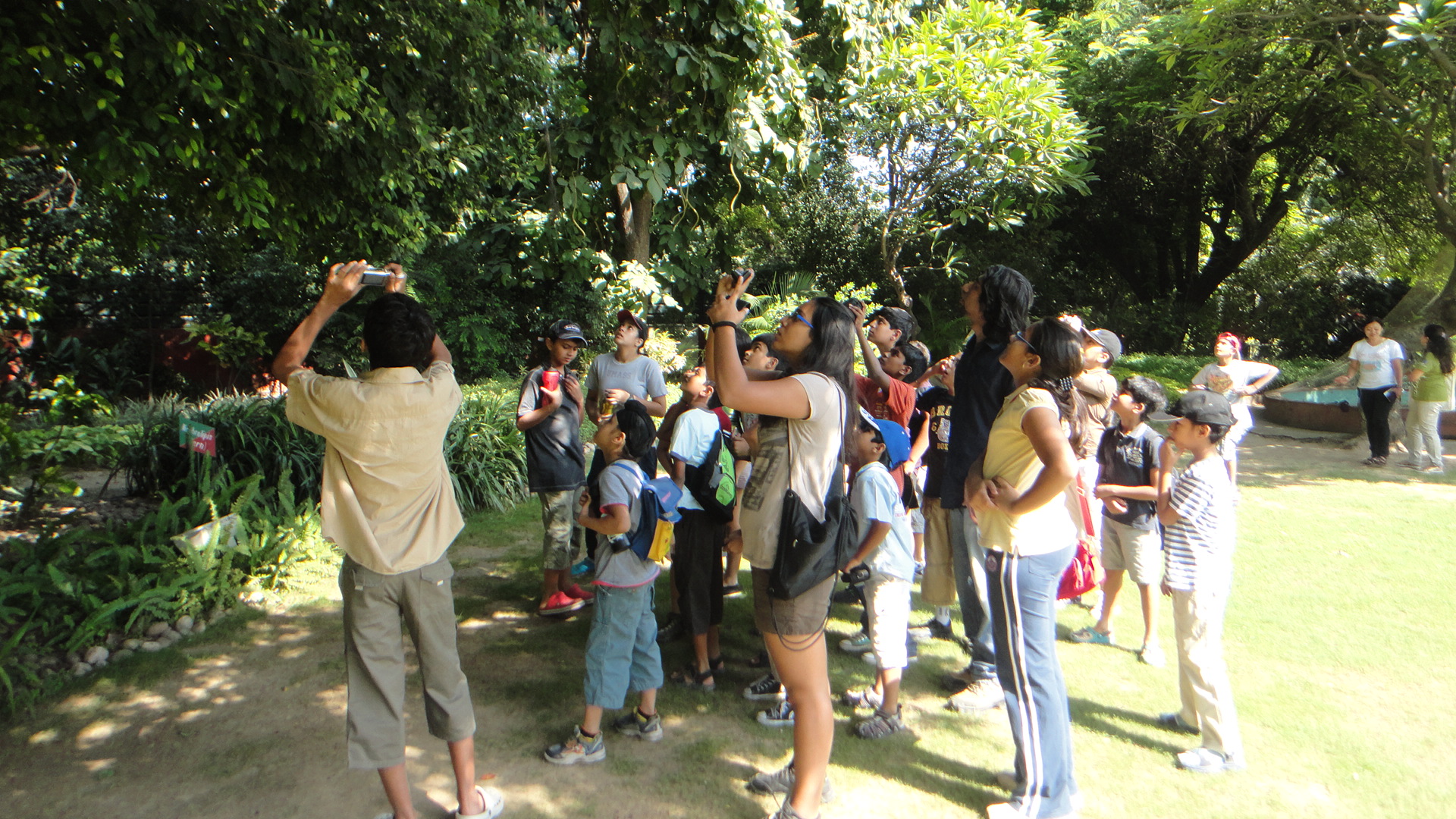 WWF-India, Delhi Government and India Habitat Centre employ outdoors ...