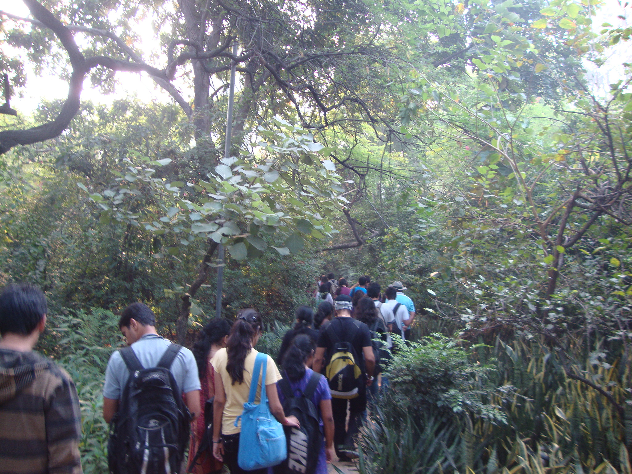DU students step up to protect the Delhi Ridge | WWF India