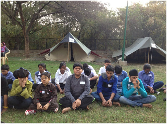 The National Nature Camps Programme - a true nature experience for ...