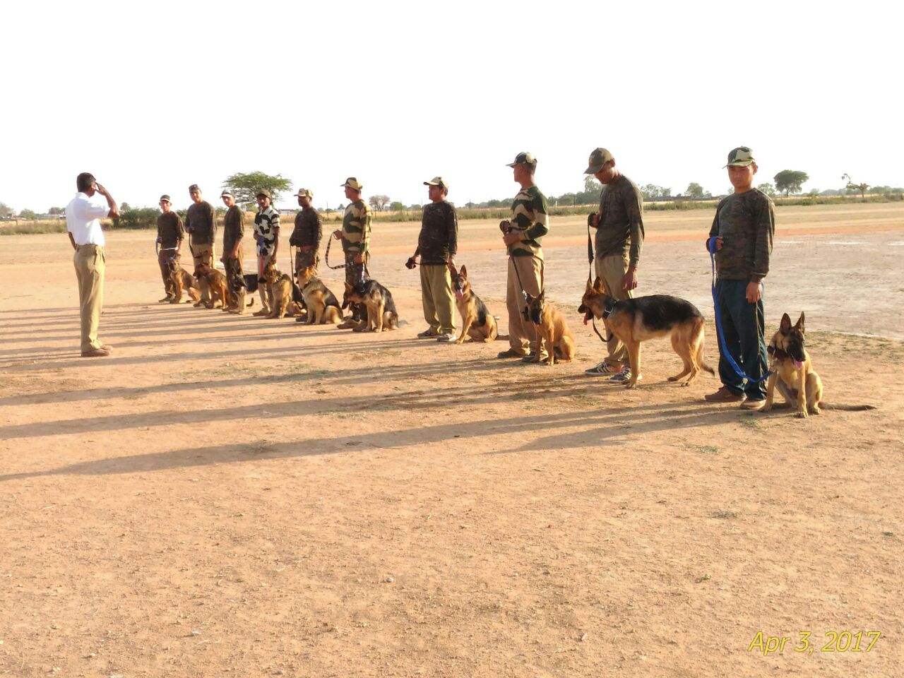 Adding teeth to wildlife law enforcement, 13 dogs begin training to ...