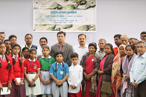 The Ramganga welcomes its first batch of rescued turtle hatchlings from ...