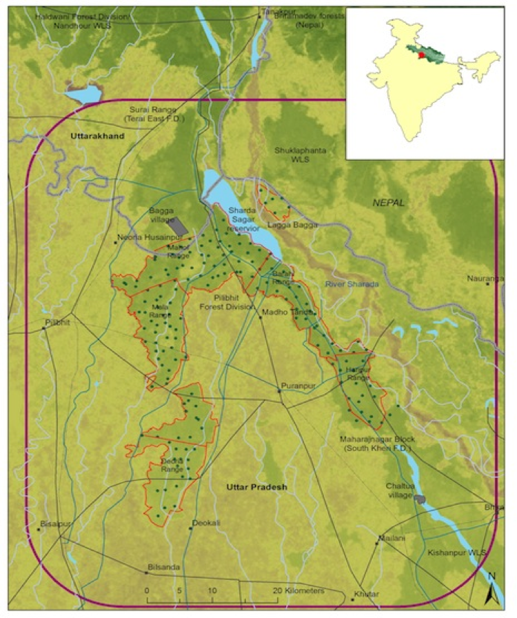 Wildlife Week Celebrations in Pilibhit Tiger Reserve | WWF India