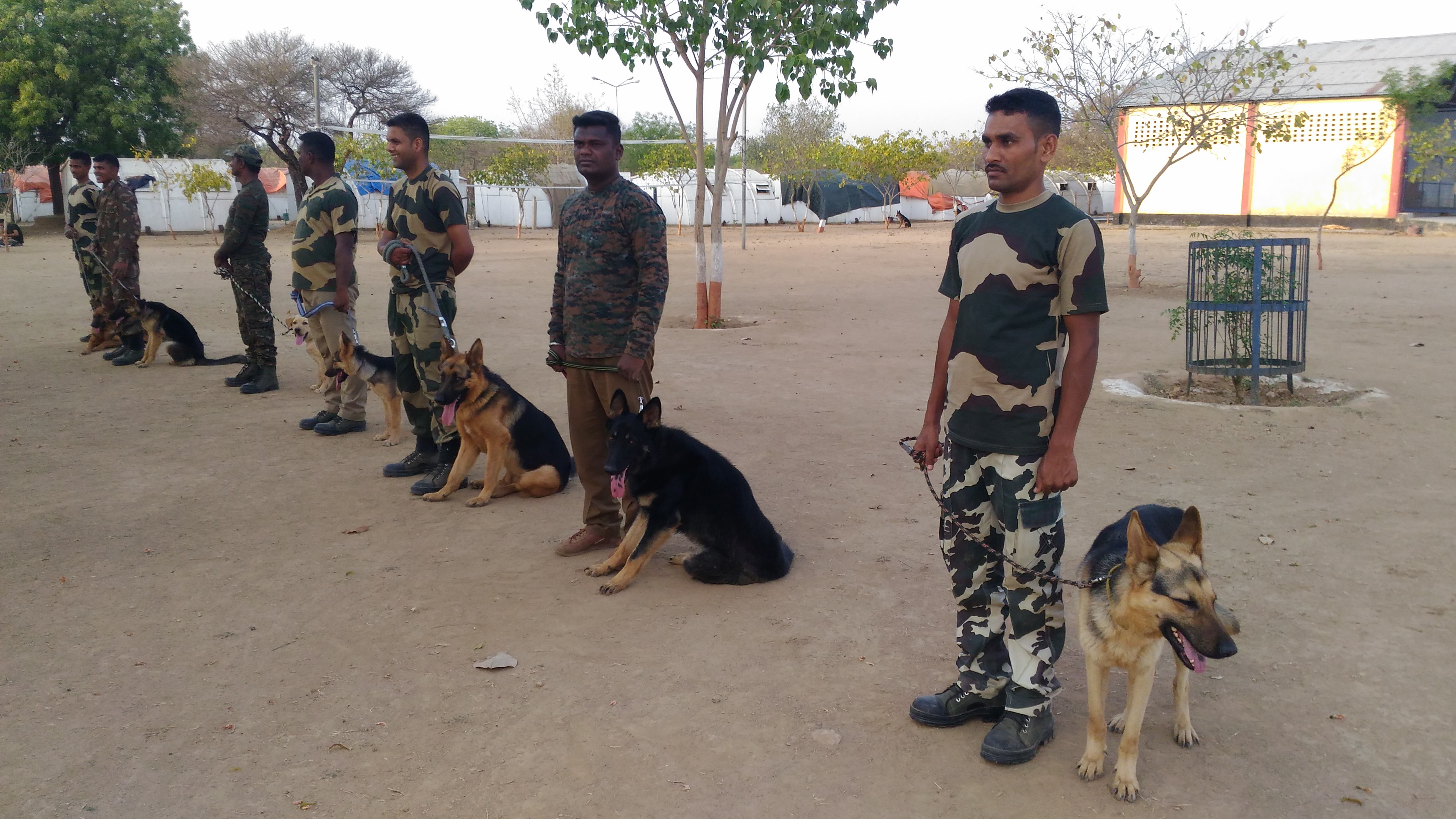 Wildlife sniffer dog training begins in Gwalior, TRAFFIC recruits ...