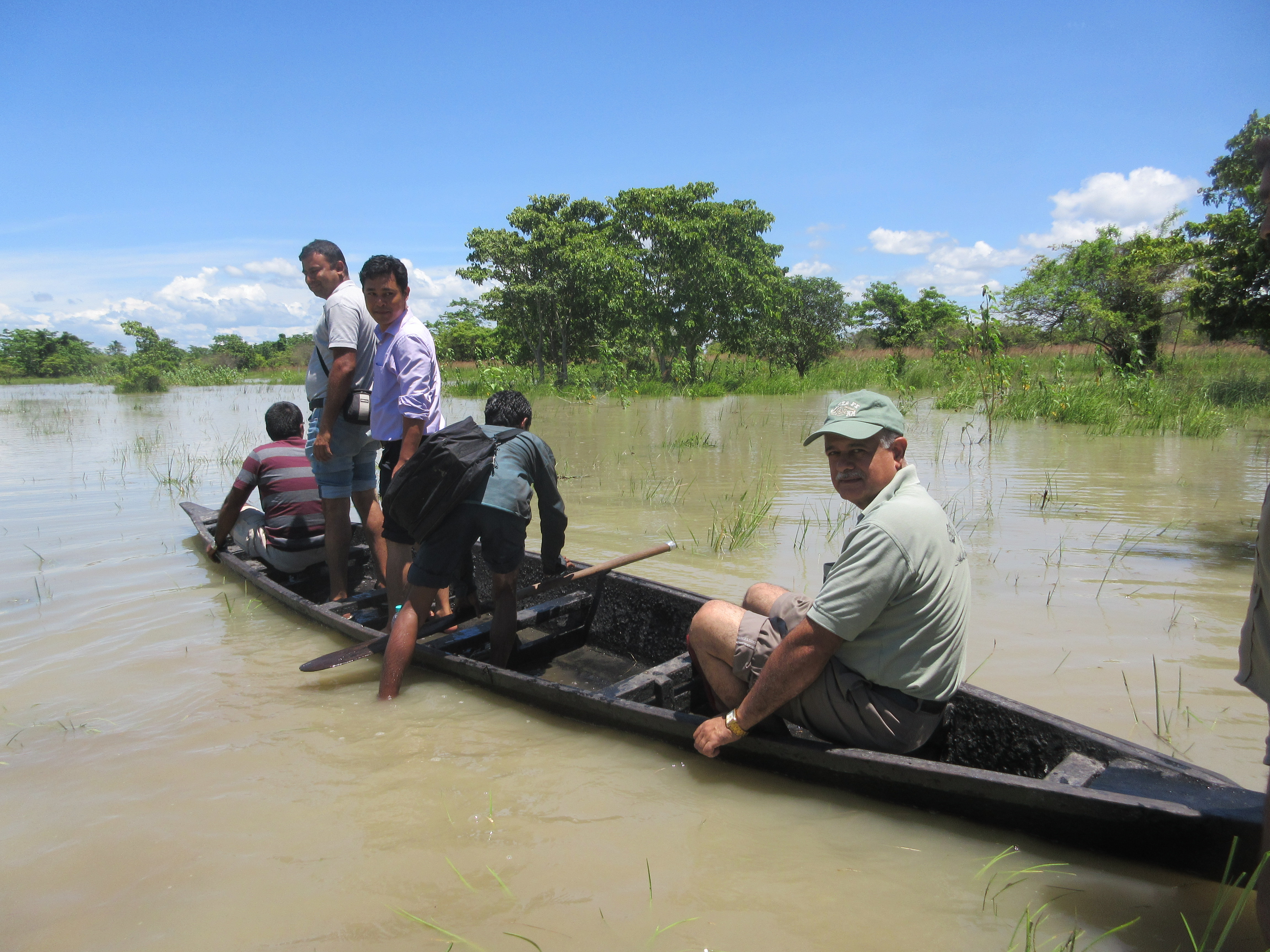 'Ramani’ – the rhino calf’s tale of survival in Burachapori Wildlife ...