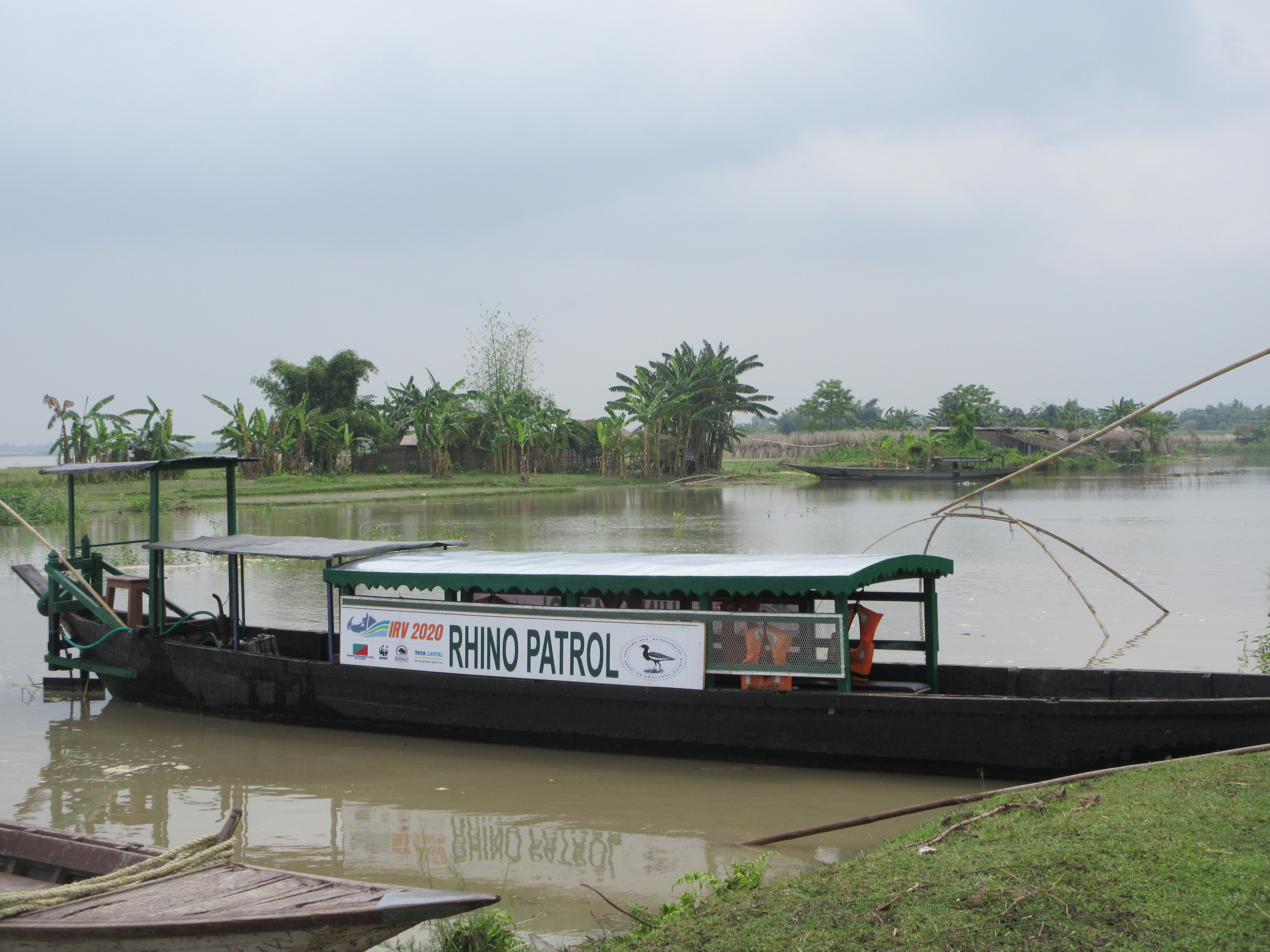 'Ramani’ – the rhino calf’s tale of survival in Burachapori Wildlife ...