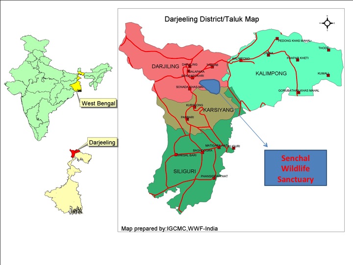 Surveying Senchal | WWF India