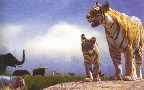 Landscapes of Hope | WWF India