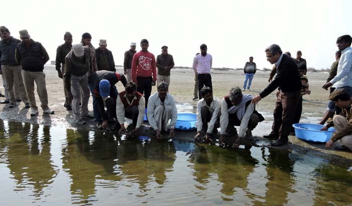 419 Turtle Hatchlings Reunite with Ganga at Hastinapur | WWF India