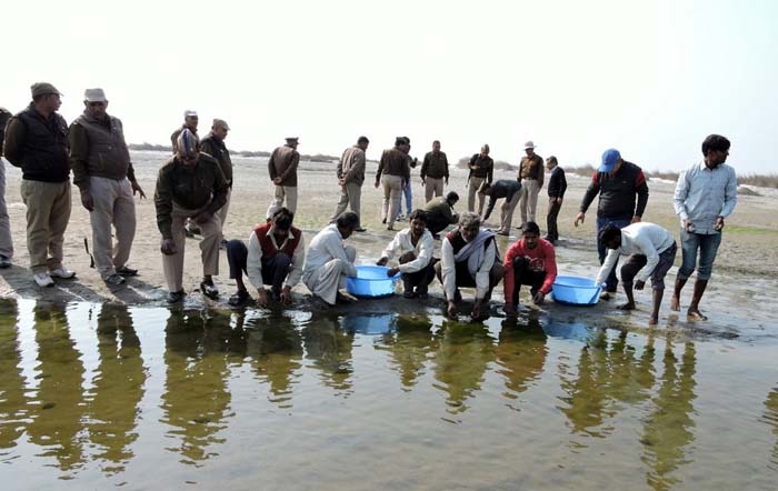 419 Turtle Hatchlings Reunite with Ganga at Hastinapur | WWF India